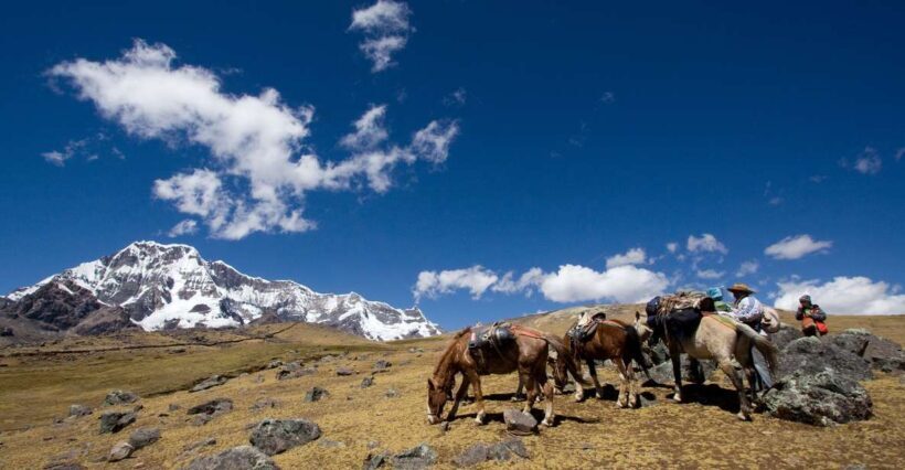 From Cusco: 2-Day Rainbow Mountain Hiking and Camping Trip - Key Points