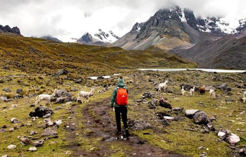 From Cusco: Ausangate 7 Lagoons Full Day Excursion - Final Thoughts