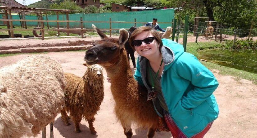 From Cusco: Cusco Machu Picchu Luxury Tour - The Final Day: Back to Cusco