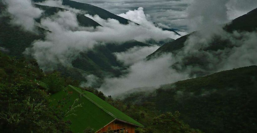 From Cusco: Ecological Adventure 5 Days - An In-Depth Look at the 5-Day Manu Jungle Tour