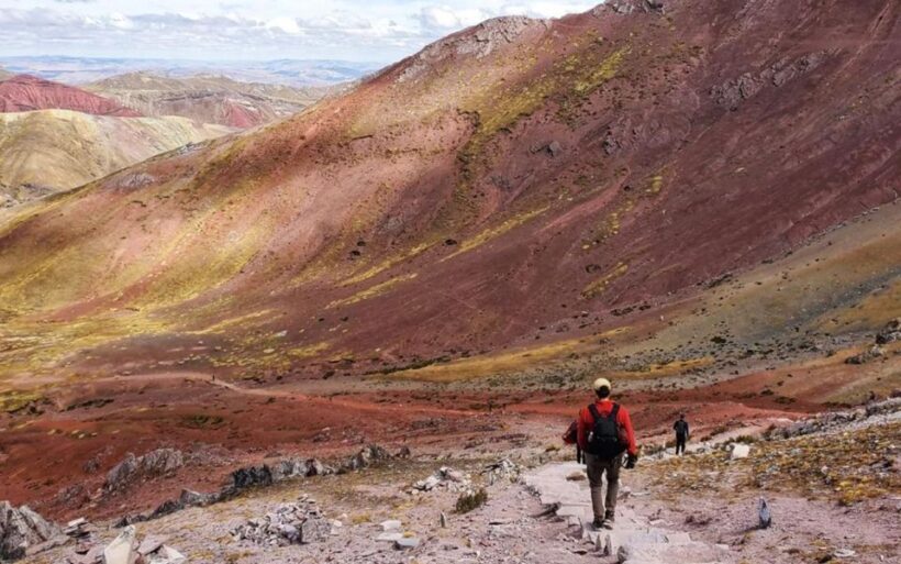 From Cusco: Full day Palccoyo Mountain tour - Who Will Love This Tour?