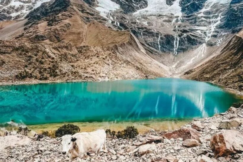 From Cusco: Full-day Tour to Humantay Lake - FAQ