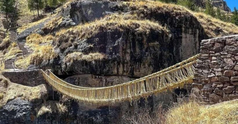 From Cusco: Inka Suspension Bridge Qeswachaca - Qeswachaka - A Deep Dive into the Tour Experience
