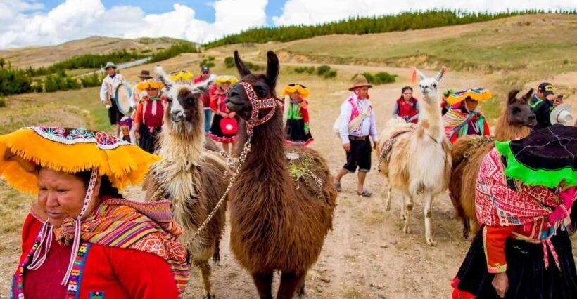 From Cusco: Llama Trekking - From Cusco: Llama Trekking — An Authentic And Tranquil Escape Into Andean Nature