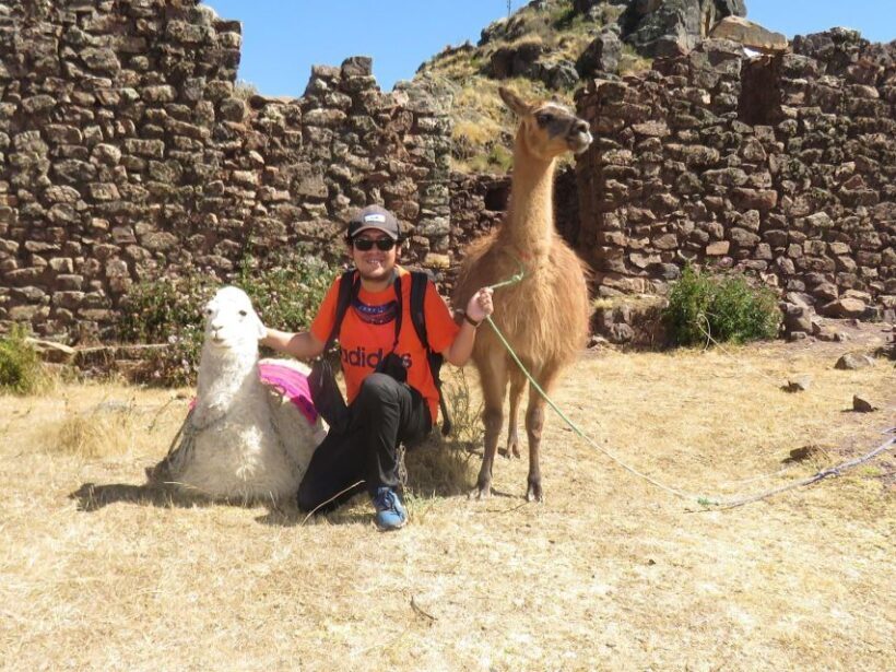 From Cusco: Llama Trekking - Key Points