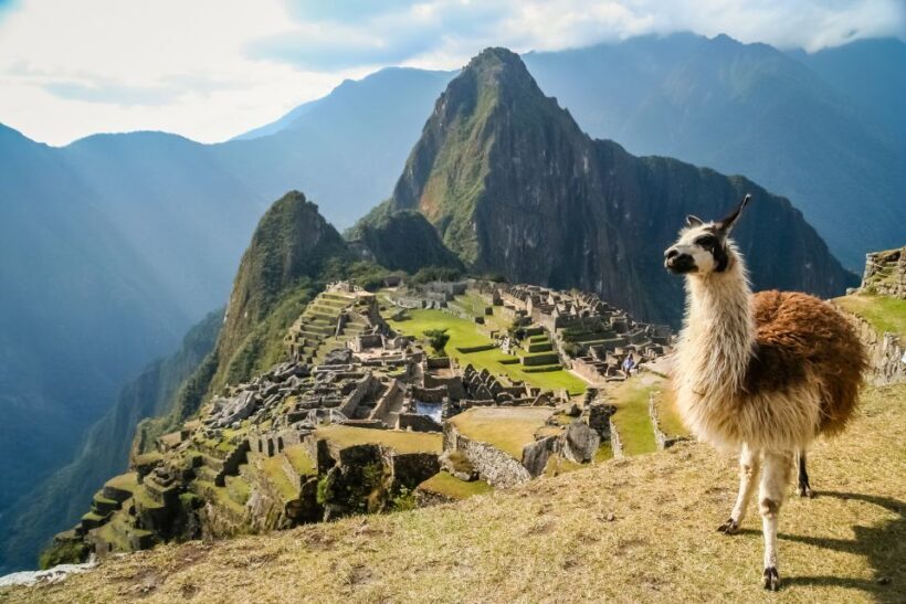 From Cusco: Machu Picchu Private Tour & Entry Ticket - An In-Depth Look at the Machu Picchu Private Tour