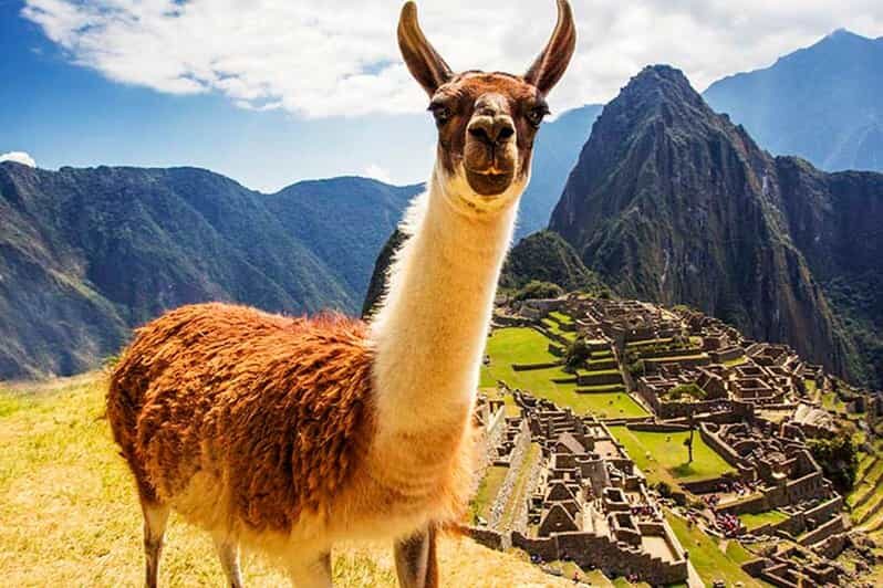 From Cusco: Machu Picchu Tour 1-Day by Train + Almuerzo - Key Points