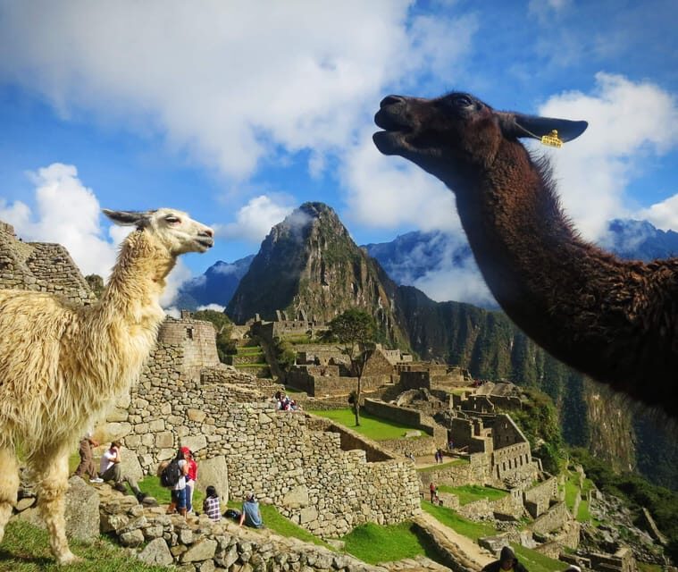 From Cusco: Machu Picchu Tour 1-Day by Train + Almuerzo - Who Might Find This Tour Less Appealing?