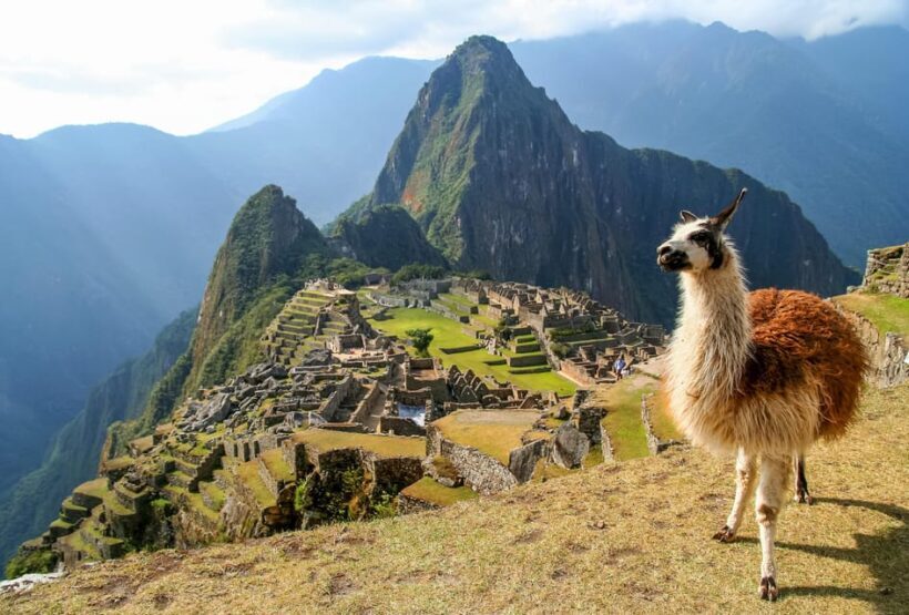 From Cusco: Machupicchu full day - Who Should Consider This Tour?