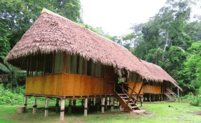 From Cusco | Manu Jungle Excursion 7D/6N | Wonders of Manu - An Authentic and Action-Packed Amazon Experience