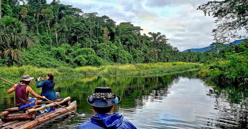 From Cusco | Manu Jungle Excursion 7D/6N | Wonders of Manu - What Makes This Tour Stand Out