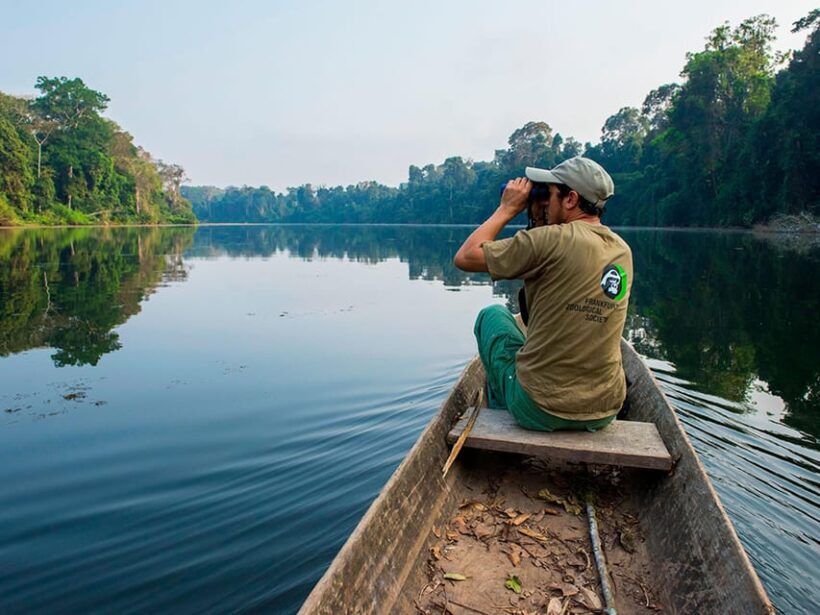 From Cusco | Manu Jungle Excursion 7D/6N | Wonders of Manu - Who Should Consider This Tour?