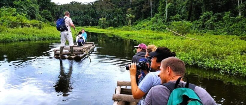 From Cusco: Manu National Park Tour & Accommodation 3 Days - Key Points