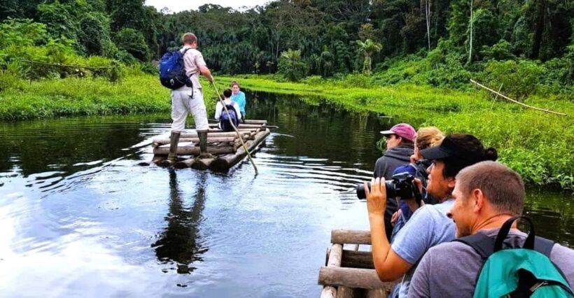 From Cusco: Manu National Park Tour & Accommodation 3 Days - An In-Depth Look at the Manu 3-Day Tour
