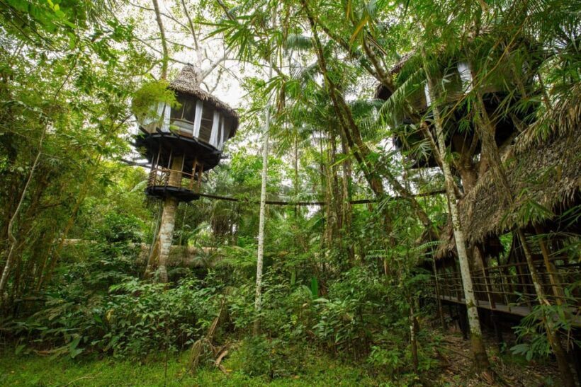 From Cusco: Manu Tree House 4 days/3 nights - The Journey Begins – From Cusco to the Amazon