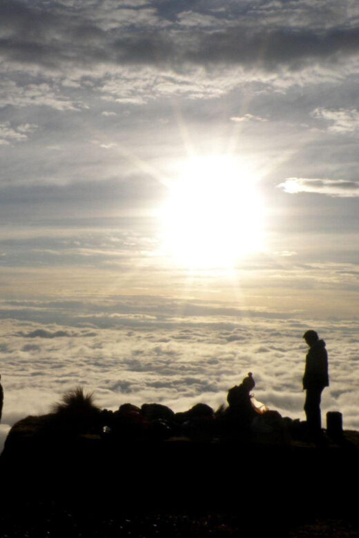 From Cusco: Manu Tree House 4 days/3 nights - Final Thoughts: Is It Worth It?