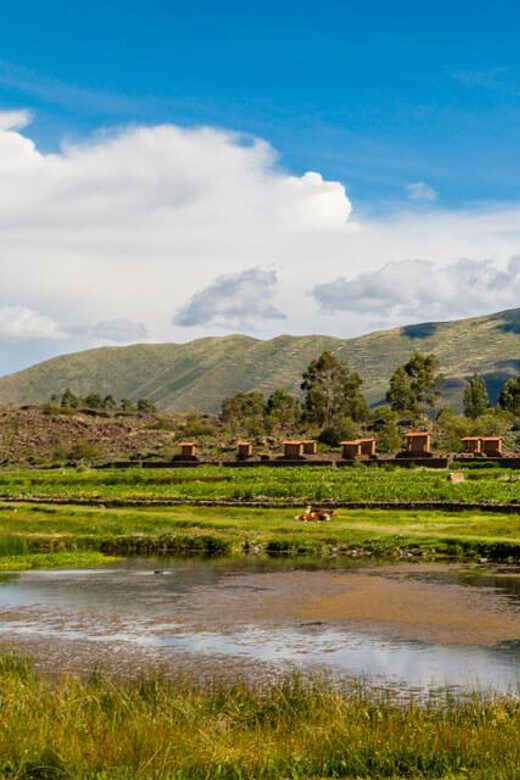 From Cusco - Puno: Sun Route full day - Authentic Experiences and Traveler Feedback