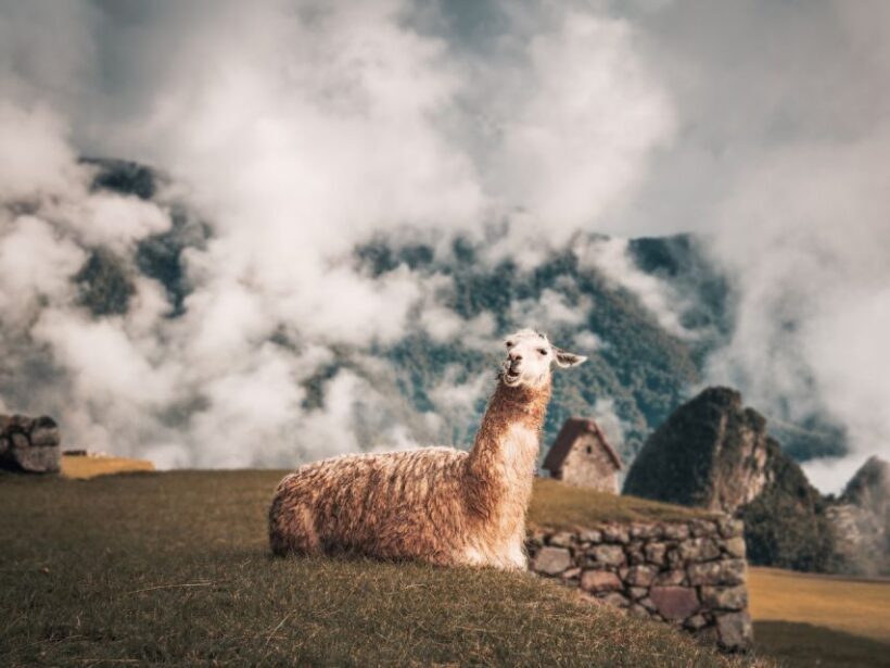 From Cusco: Sacred Valley & Machu Picchu 2-Day Tour by Train - Authenticity and Small Group Benefits