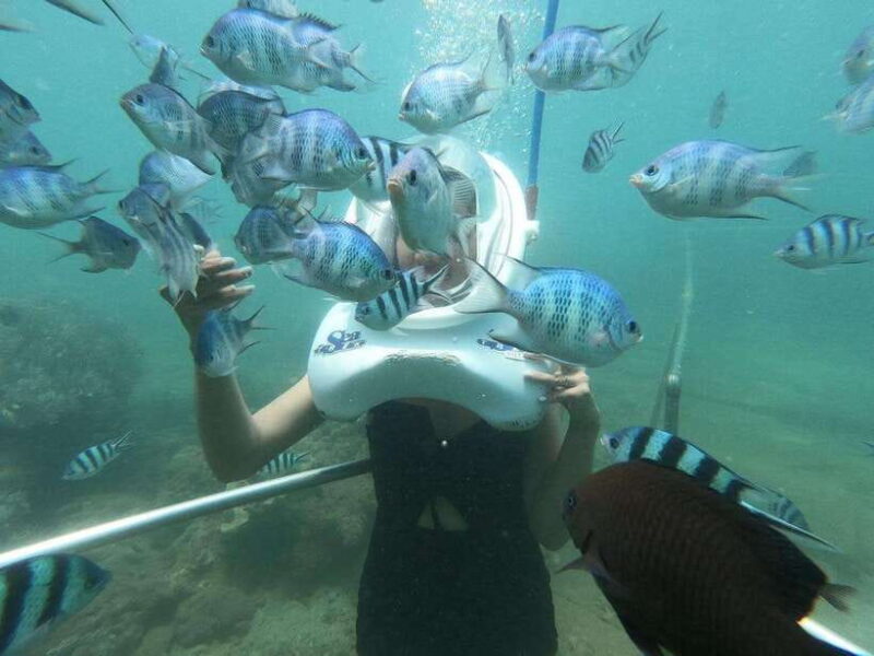 From Da Nang/Hoi An: Cham Islands Tour with Snorkeling - Final Thoughts