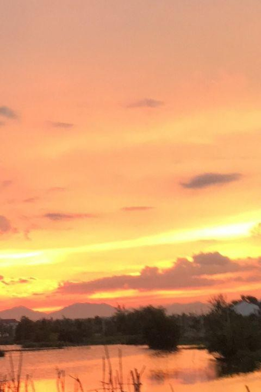 From Da Nang: Hoi An City Tour with Boat Ride & Lantern - The Practical Side: How the Tour Works