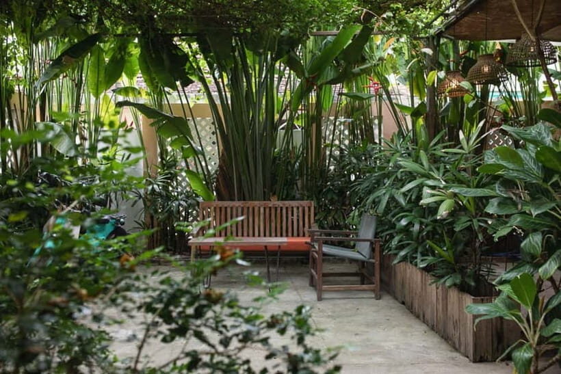 from Da Nang: Hoi An Instagram Cafe Tour with Rooftop View - Who Is This Tour Best For?