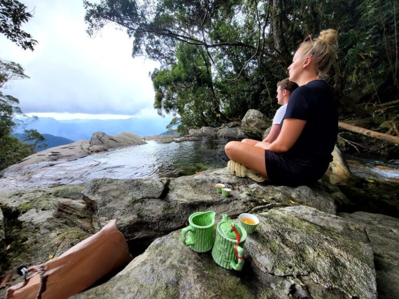 From Da Nang or Hoi An: Bach Ma National Park Trek & Lunch - Final Summary