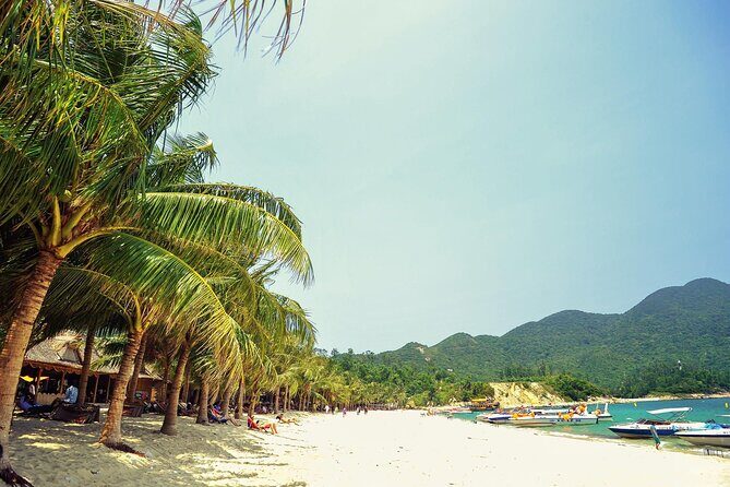 From Da Nang or Hoi An Cham Island Snorkeling Day Tour and Lunch - The Itinerary Breakdown