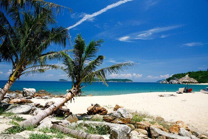 From Da Nang or Hoi An Cham Island Snorkeling Day Tour and Lunch - Authentic Experiences and Traveler Reviews