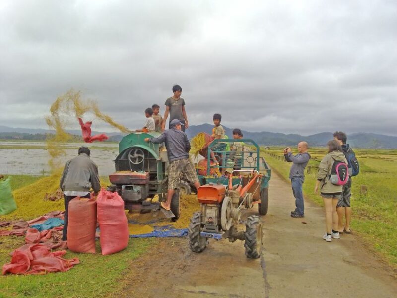 From Dalat: 4D3N Central Highlands Explorer Loop - Value for Money