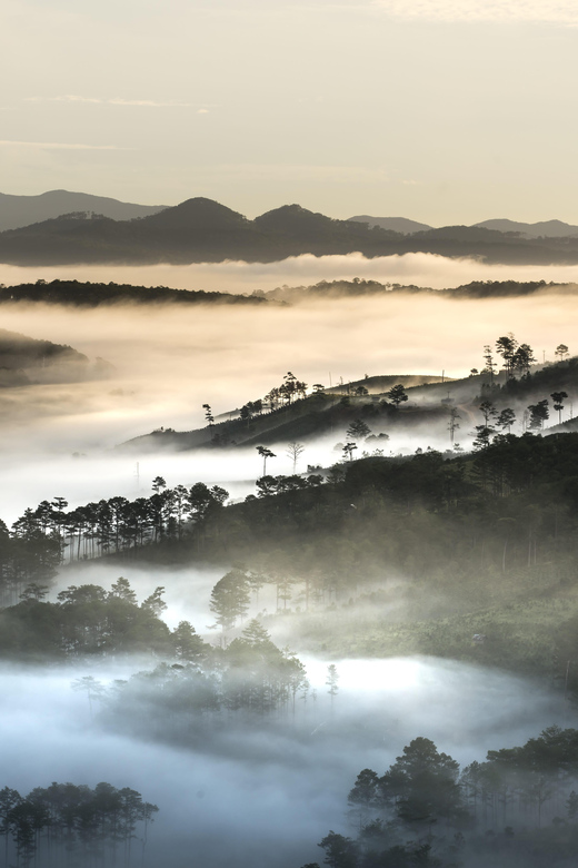 From Dalat: Sunrise Tour - Hike Over Misty Valley - Exploring Lam Dong’s Oldest Tea Hill