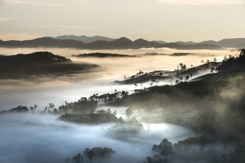 From Dalat: Sunrise Tour - Hike Over Misty Valley - The Sum Up