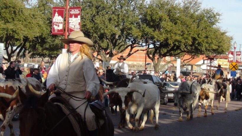 From Dallas: Fort Worth Guided Day Tour - Authentic Experiences That Stand Out
