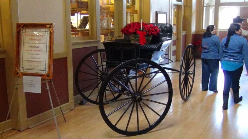 From Dallas: Fort Worth Guided Day Tour - Who Will Enjoy This Tour?