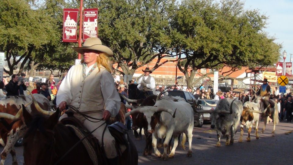 From Dallas: Fort Worth Guided Day Tour - The Value for Money