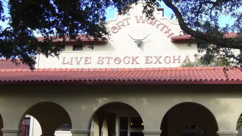 From Dallas: Fort Worth Guided Day Tour - The Sum Up: Who Should Take This Tour?