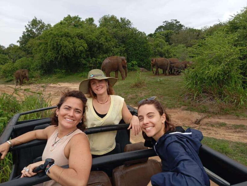 From Dambulla/Sigiriya/: Minneriya National Park 4hr safari - Key Points