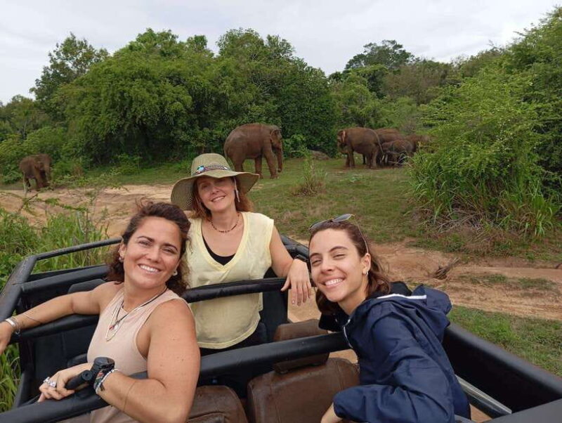 From Dambulla/Sigiriya/: Minneriya National Park 4hr safari - Why the Guide Matters