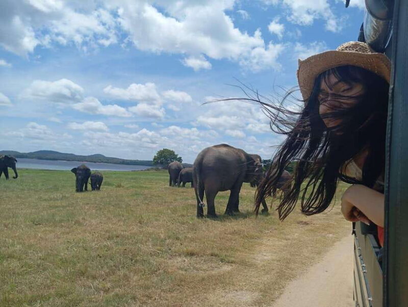 From Dambulla: Sigiriya Rock Fortress and Minneriya Safari - FAQ