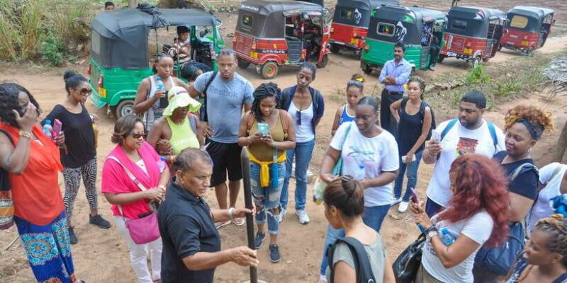 From Dambulla: Sigiriya Rock, Village, and Minneriya Tour - Practical Details and Value