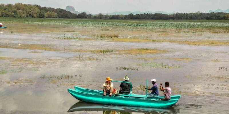 From Dambulla: Sigiriya Rock, Village, and Minneriya Tour - Authentic Experiences and What They Mean for You