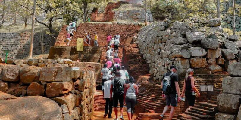 From Dambulla: Sigiriya Rock, Village, and Minneriya Tour - The Sum Up