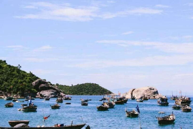 From Danang: Cham Island Diving, Snorkeling Explore the Sea - Key Points