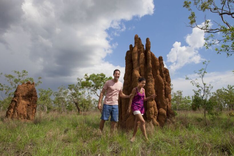 From Darwin: Kakadu National Park Full Day Tour - Exploring the Kakadu Experience