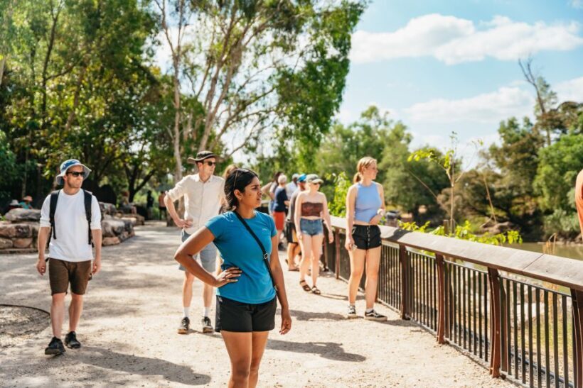 From Darwin: Kakadu Wilderness Escape Day Tour - Final Thoughts: Who Should Book This Tour?