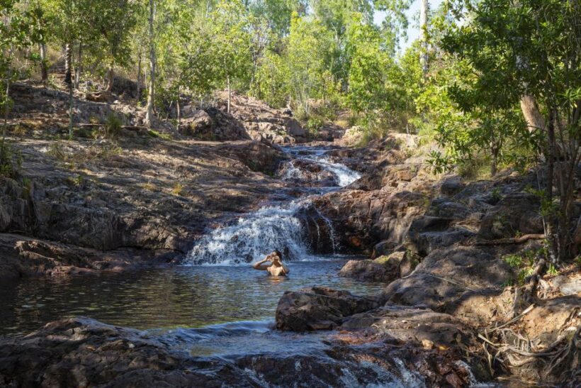 From Darwin: Litchfield National Park Day Trip - An In-Depth Look at the Litchfield National Park Day Trip
