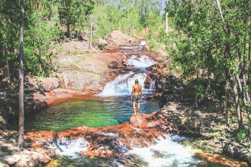 From Darwin: Litchfield National Park Day Trip - Final Thoughts: Is It Worth It?