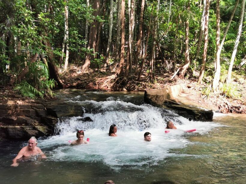 From Darwin: Litchfield National Park Small-Group Day Trip - The Value of the Experience