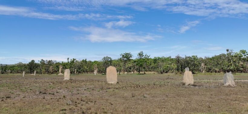 From Darwin: Litchfield National Park Small-Group Day Trip - Who Will Love This Tour?