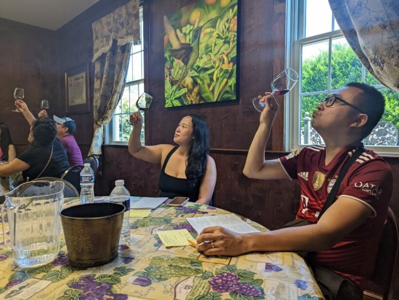 From DC: Premium Virginia Wine Country Tour with Tastings - The Itinerary: What to Expect