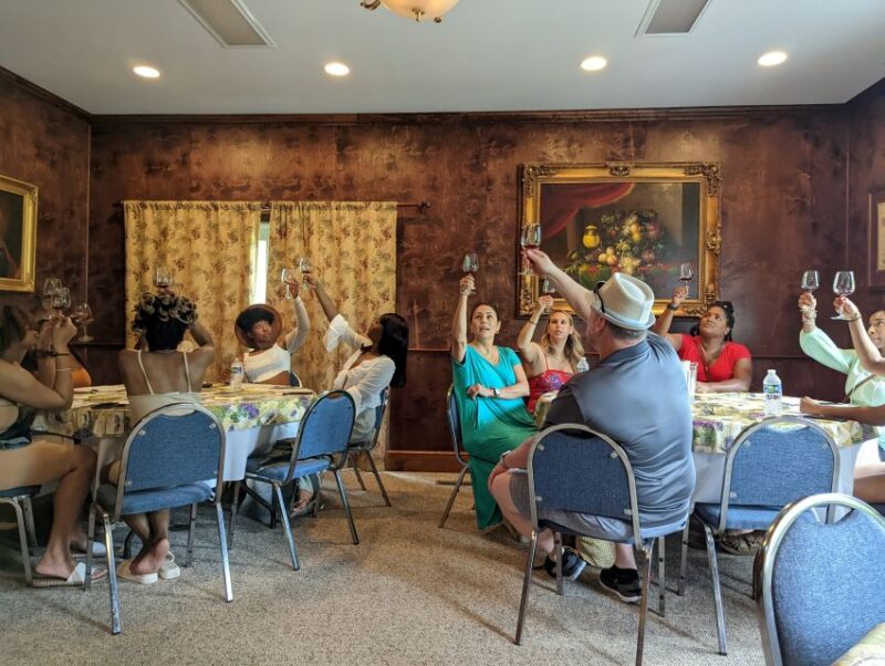 From DC: Premium Virginia Wine Country Tour with Tastings - Practical Tips for Future Travelers